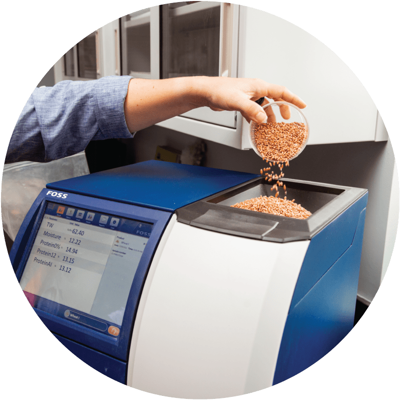 Kansas Wheat Innovation Center | Kansas Wheat Innovation Center