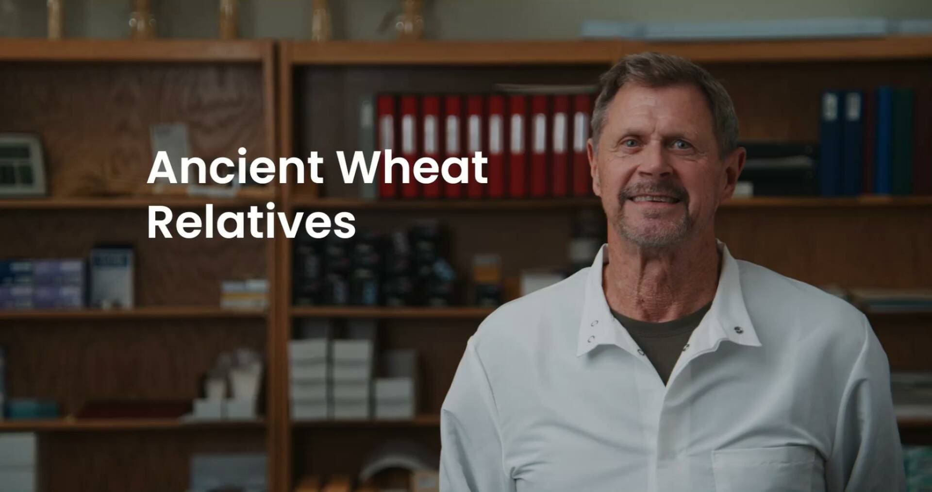 Kansas Wheat Innovation Center | Kansas Wheat Innovation Center